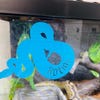 Customizable Name Green Tree Python Emerald Tree Boa Snake Vinyl Decal ...