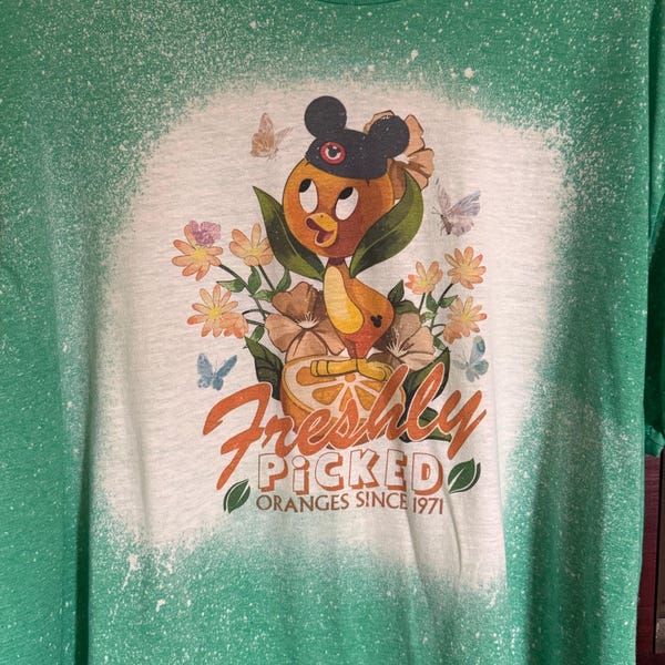 All Princess Tshirt, Bleached Disney Princess Shirt, Kids Princesses ...