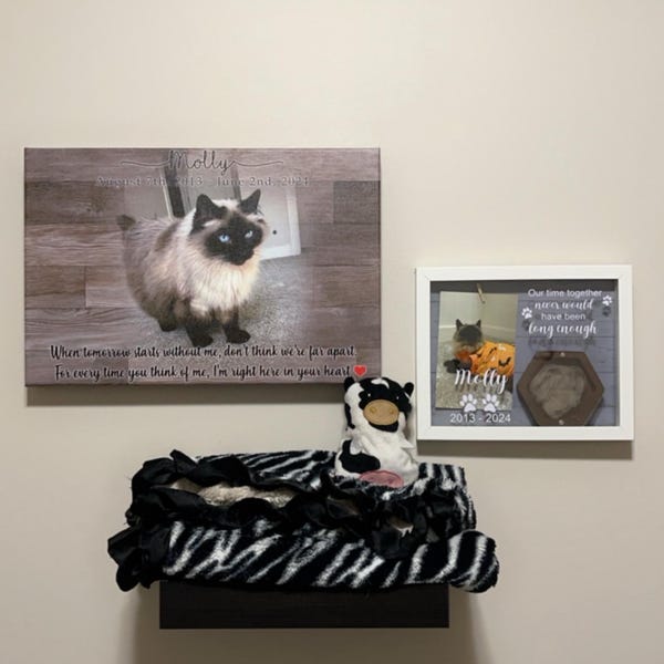 Cat Memorial Personalized Cat Memorial Loss of Pet Cat Pet Memorial ...