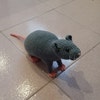 Digital Crochet Pattern Realistic Rat - Etsy