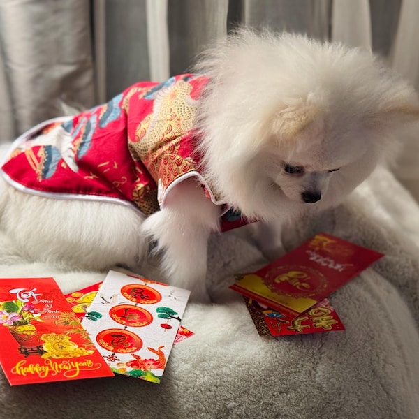 Pet Maroon Hac Patterns Ao Dai With Buttons 45B| Pet Asian Outfit ...
