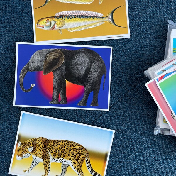 25 Postcard Set Poetic Color Palettes Inspiration for Artists Great ...