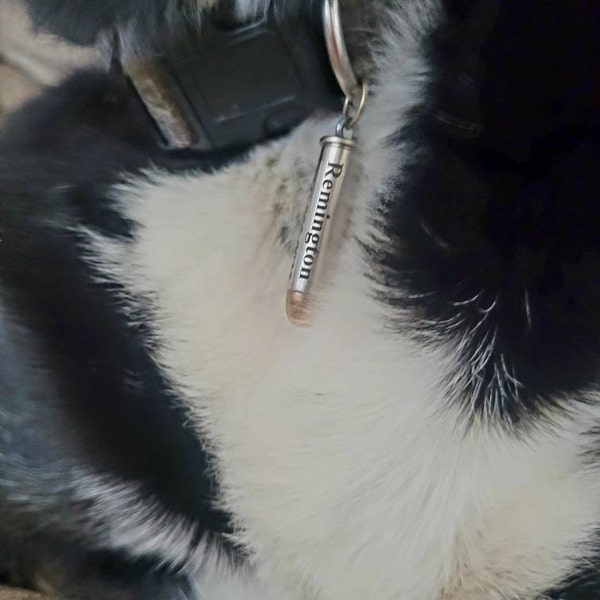 Personalized Bullet Pet Tag, Dog Name Tag, Man's Best Friend, Collar ...