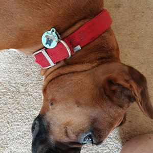 Dog Tag for Boxer Dogs With Personalised Name and Address, Custom ID ...