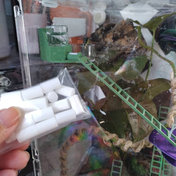 The Original Jumping Spider Water Station Hanging Magnetic Wicking ...
