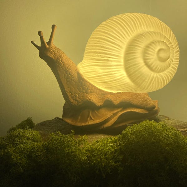 Bright Snail Desk Lamp - Night Light, Vibrant Home Decor, Bedside Lamp ...