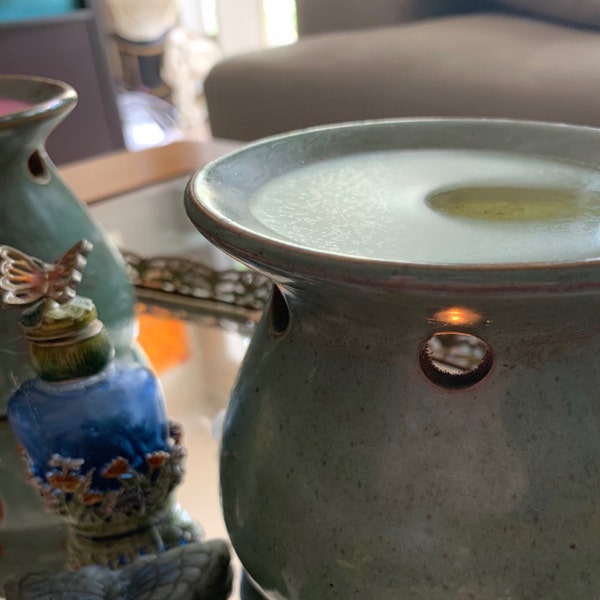 EBM Creations Sun Kissed Plumeria Scented All Natural Soy Wax Melts 6 ...