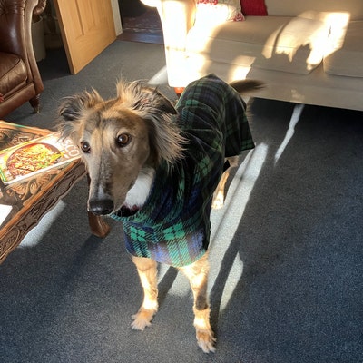 BUGS NAME A4-A3 PRINT Beetle Name Art Nursery Wall Art Cool Name Art ...