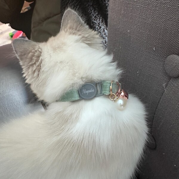 Breakaway Green+sage+forest Velvet Cat Collar Bowtie Leash Set ...