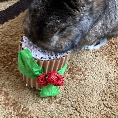 Gideons Hideout Cardboard House for Rabbits Hideout and Chew - Etsy