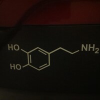 Custom in Loving Memory Memorial Acoustic Guitar Musician Die Cut Decal ...