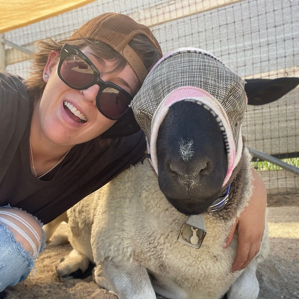 Goat/sheep Fly Masks - With & W/o Horns - Dual Adjustable - Made to ...