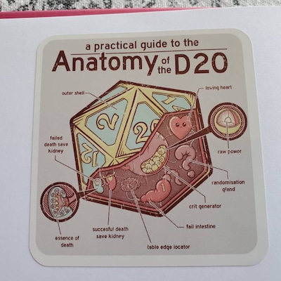 Anatomy of the D20 Sticker Dnd Gift GM Dungeons & Dragons Dice Natural ...
