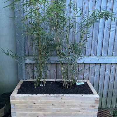 110cm Large Rectangular Wooden Planters - Etsy UK