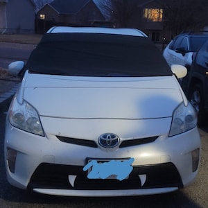 Universal Car Vampire Teeth / Bumper Fangs / Halloween Car - Etsy