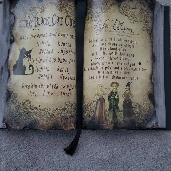 Black Cat Curse and Life Potion Spell Book, Hocus Pocus Inspired - Etsy