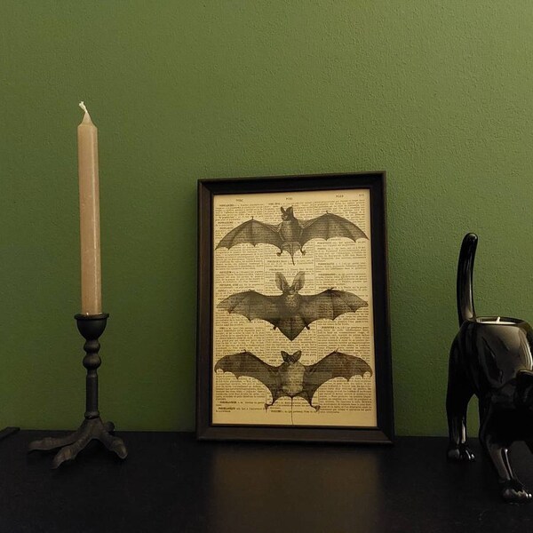 Bat Skeleton Dark Gothic Odd Scary Witch Punk Halloween Spooky Goth ...