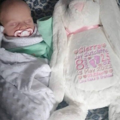 Personalised Embroidered Bunny Rabbit Teddy Bear Soft Toy, New Baby ...