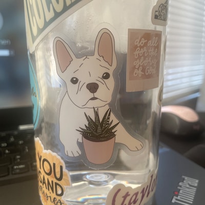 Jindo Monstera Vinyl Sticker Jindo Sticker Monstera Sticker Plant ...