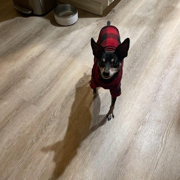 Lumberjack - Small Breed Dog Coat - Poncho - Etsy