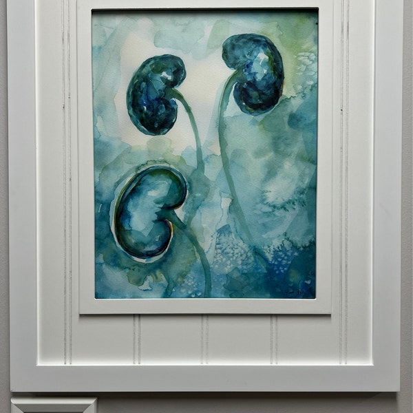 Transplant Kidney Watercolor Print - Anatomical Kidney Art - Nephrology ...