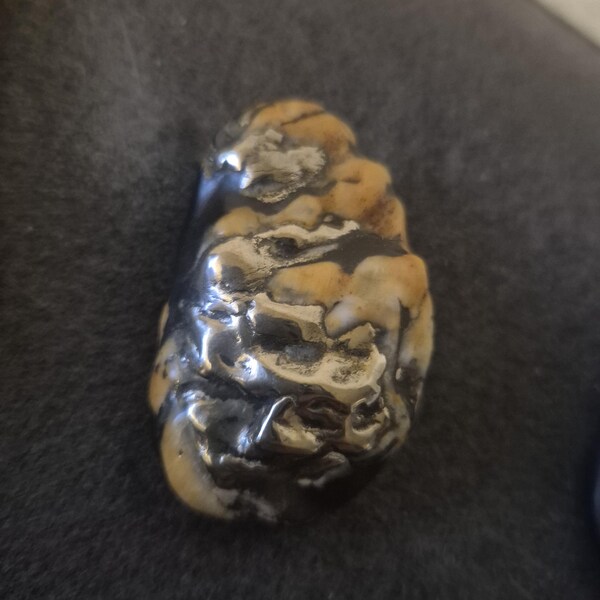 Dragon Bone Stone From Taiwan Rare Gem Handmade Metaphysical Stone - Etsy