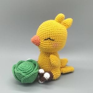 Chubby Chocobo Amigurumi Crochet Pattern. Digital PDF - Etsy