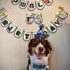 The Jungle Book Themed Banner - Etsy