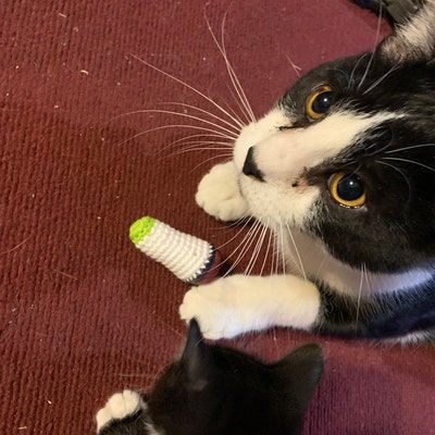The Original Joint Cannabis Catnip Toy - Etsy