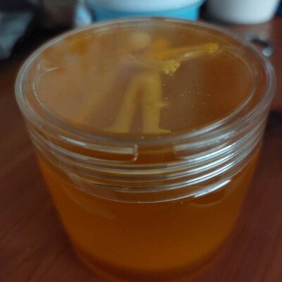 Mango Sticky Rice Slime With Leaf Charm, Sticky Rice and Jellycube Uk ...