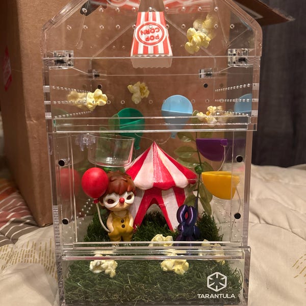 Black and Green Jumping Spider Enclosure - Etsy