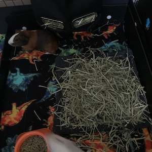 South Park Craig Hat | Etsy