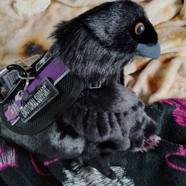 ESSA Raven Crow Emotional Support Plush Stuffed Animal Personalized ...