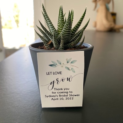 Let Love Grow Succulent Favor Tags Bridal Shower Editable Template ...