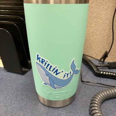 Humpback Whale Vinyl Sticker Whale Sticker Killin' It - Etsy