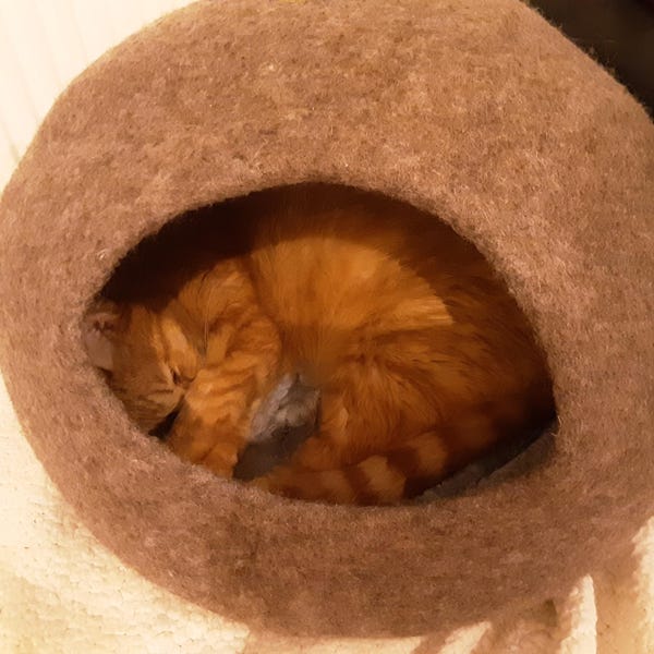 50cm Handmade Wool Cat Cocoon Bed / Cozy Cat Cave House - Etsy