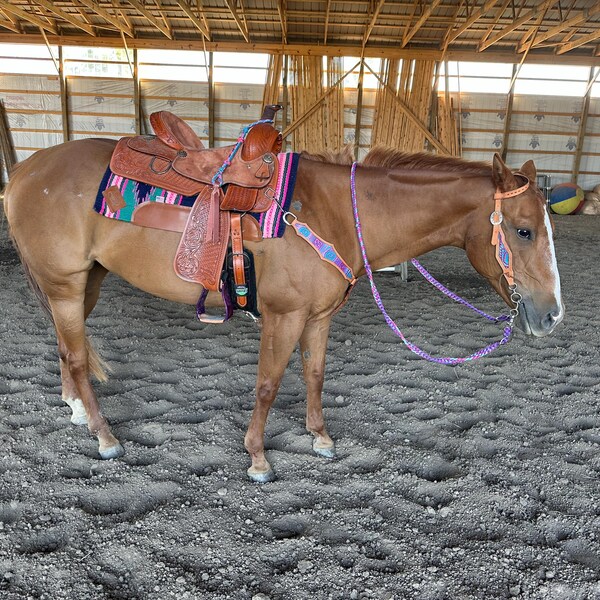 Handcrafted Aztec Rio Leather Gladiator Style Tack Set Breastcollar ...