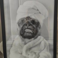 Highland Cow in a Shower Cap Print Cow Bathing Funny - Etsy UK