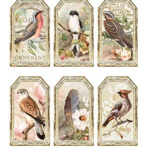 Vintage Birds Journal Tags, Birds Printable Tags, Vintage Garden Birds ...