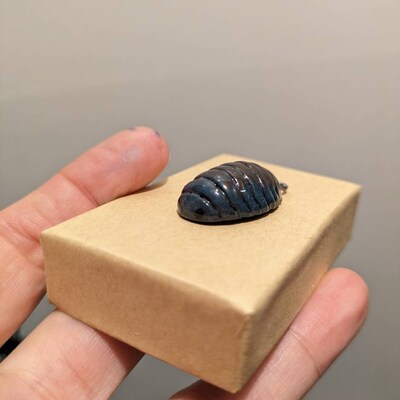Isopod Charms 30 Breeds to Choose From - Etsy