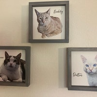 Cat Petting Chart Print on Canvas, Funny Cat Print, Cat Wall Art , Cat ...