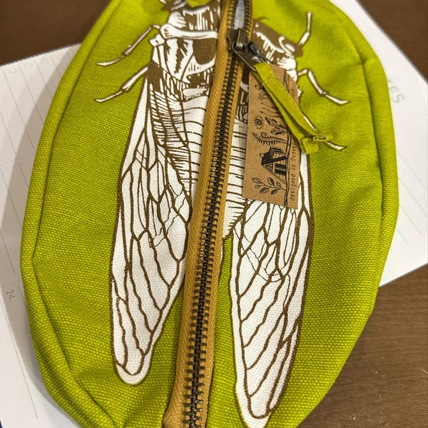 Cicada Zipper Pouch: Hand Screenprinted Cotton Canvas Pencil Bug Insect ...