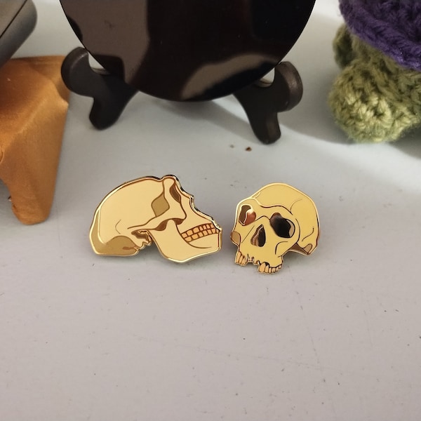 Homo Erectus Skull Enamel Pin | Archaeology Enamel Pin, Science Enamel ...