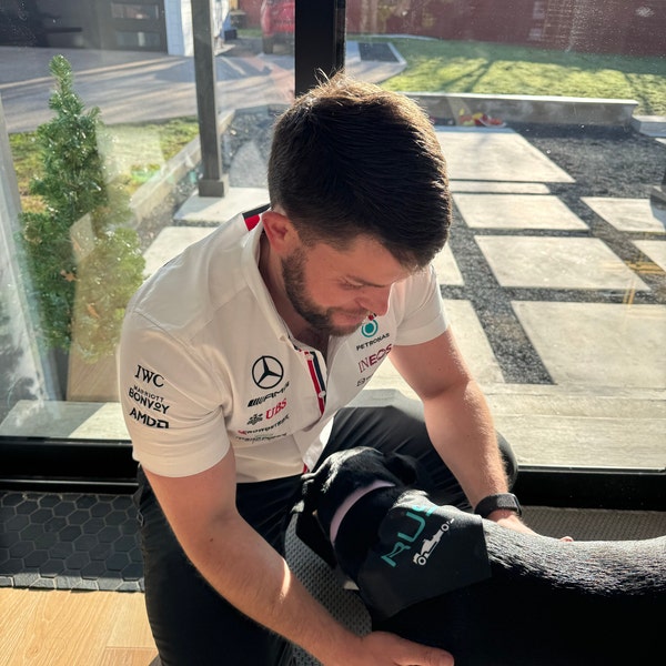 George Russell Formula 1 Teddy Bear Perfect Gift for Mercedes AMG ...