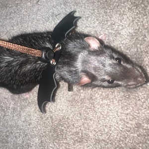 Bat Wings Harness Pet Leash Collar Set Gifts-syrain Hamster/fancy Rat ...