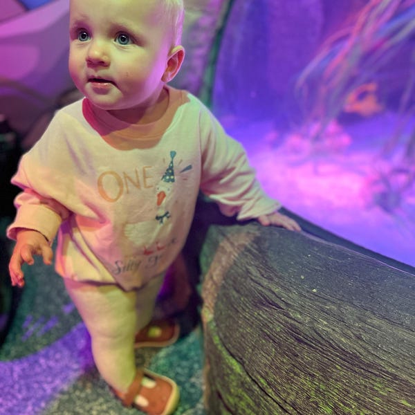 One Silly Goose Birthday Romper, 1st Birthday Silly Goose Bodysuit ...