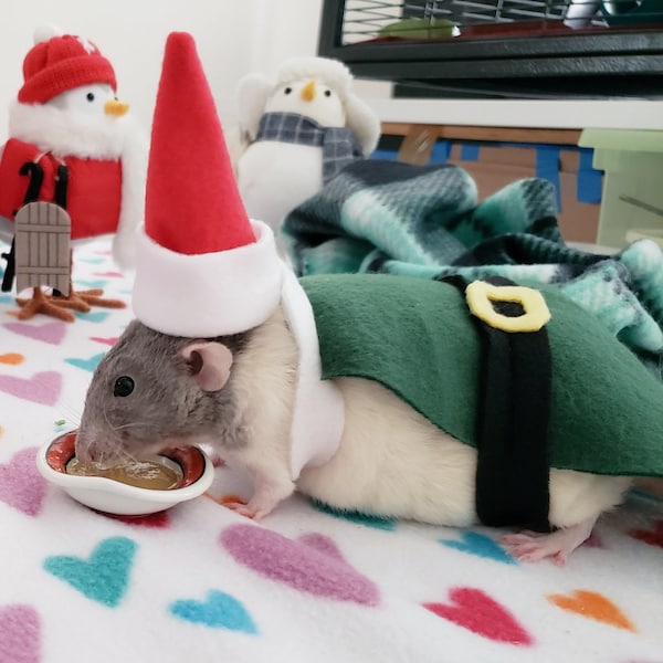 Elf Costume, Pet Costume for Rats, Santa Helper Rat - Available in Red ...