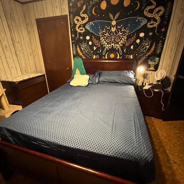 Goddess Face Planter, Goth Women Head Pot, Succulent Planter, Plant Pot ...