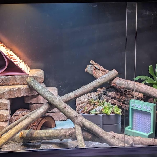 Reptile Bug Feeder Pastel Colors With Custom Name Bearded Dragon Food ...