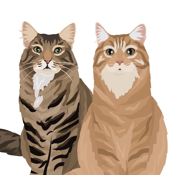 Cat Bath Time Illustrations. Cat & Dog Grooming Illustrations. Cat ...